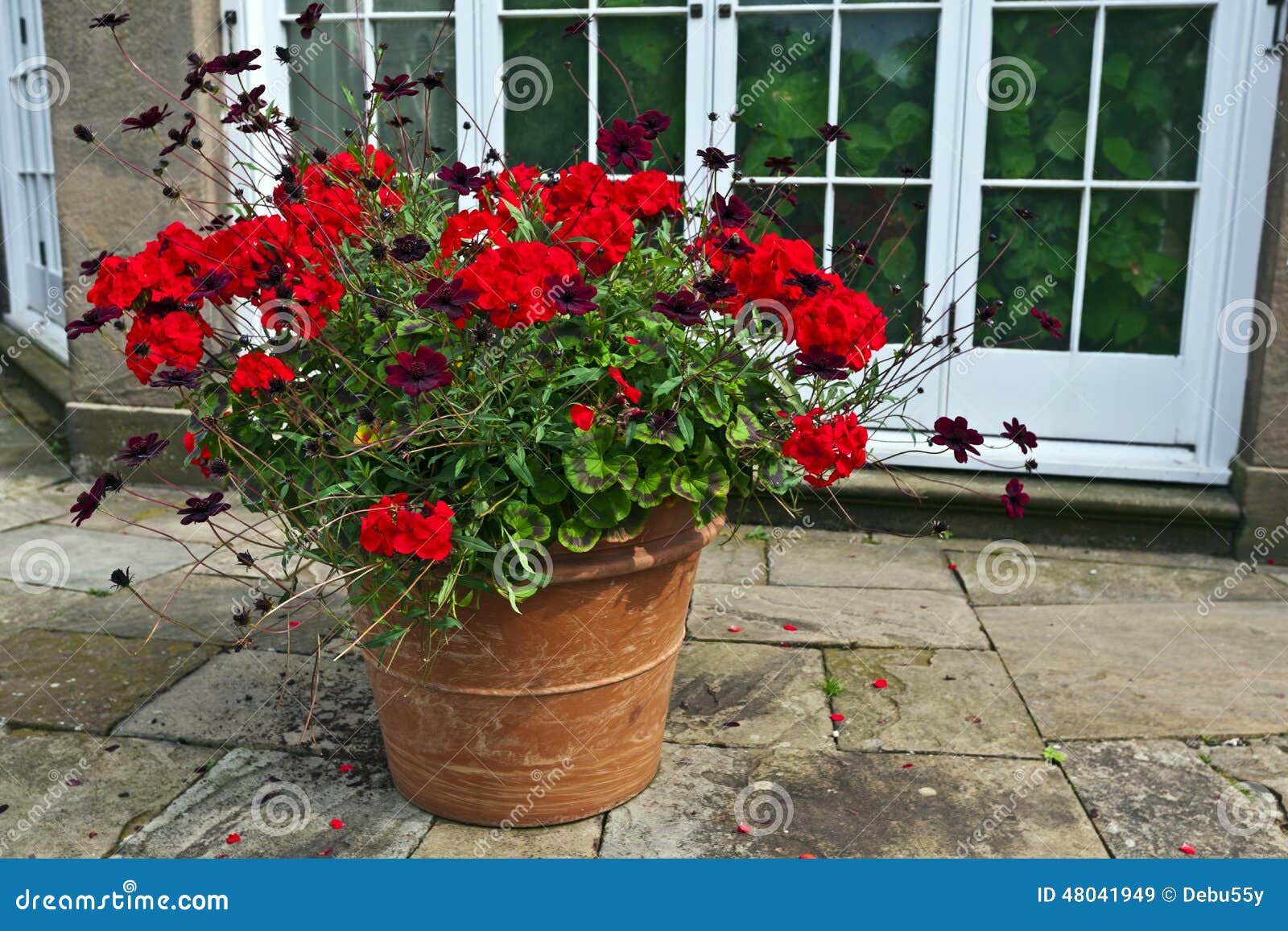 Terracotta Planter With Flowers. Royalty-Free Stock Photo ...