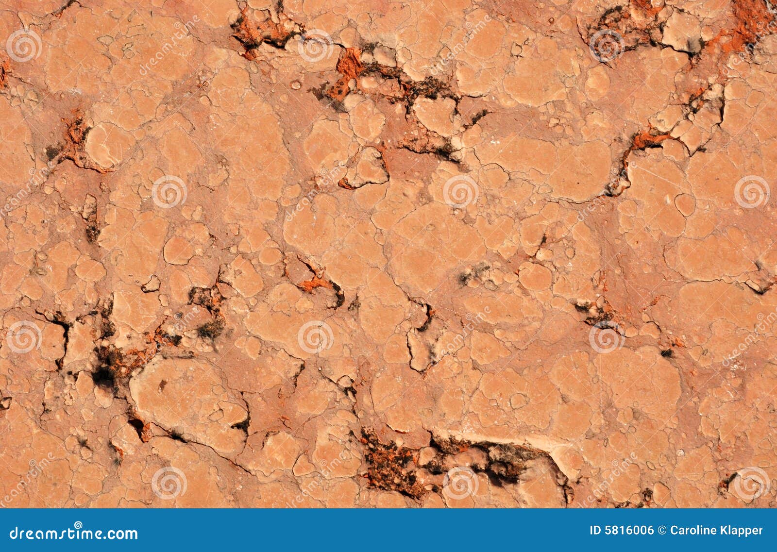 Terracotta Tile stock photo. Image of design, pure, pitted - 5816006