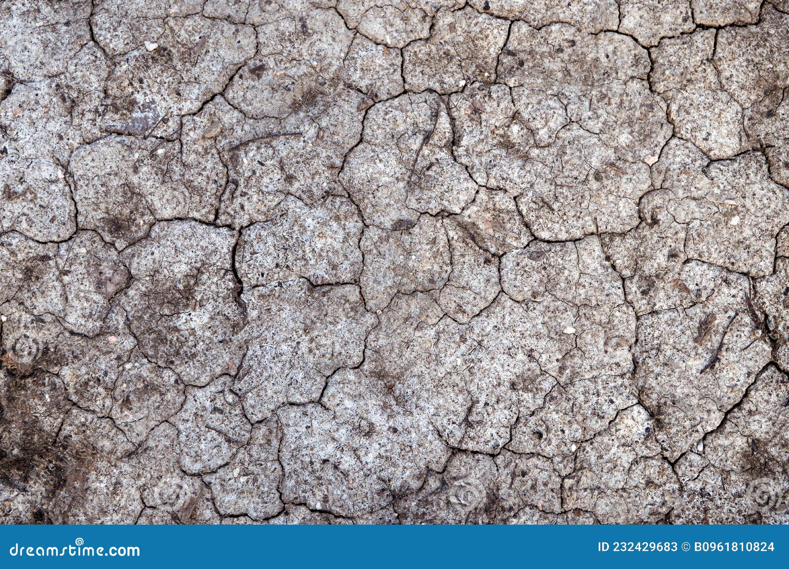 Terrain with Arid Climate. the Surface of the Land is Cracked. the ...