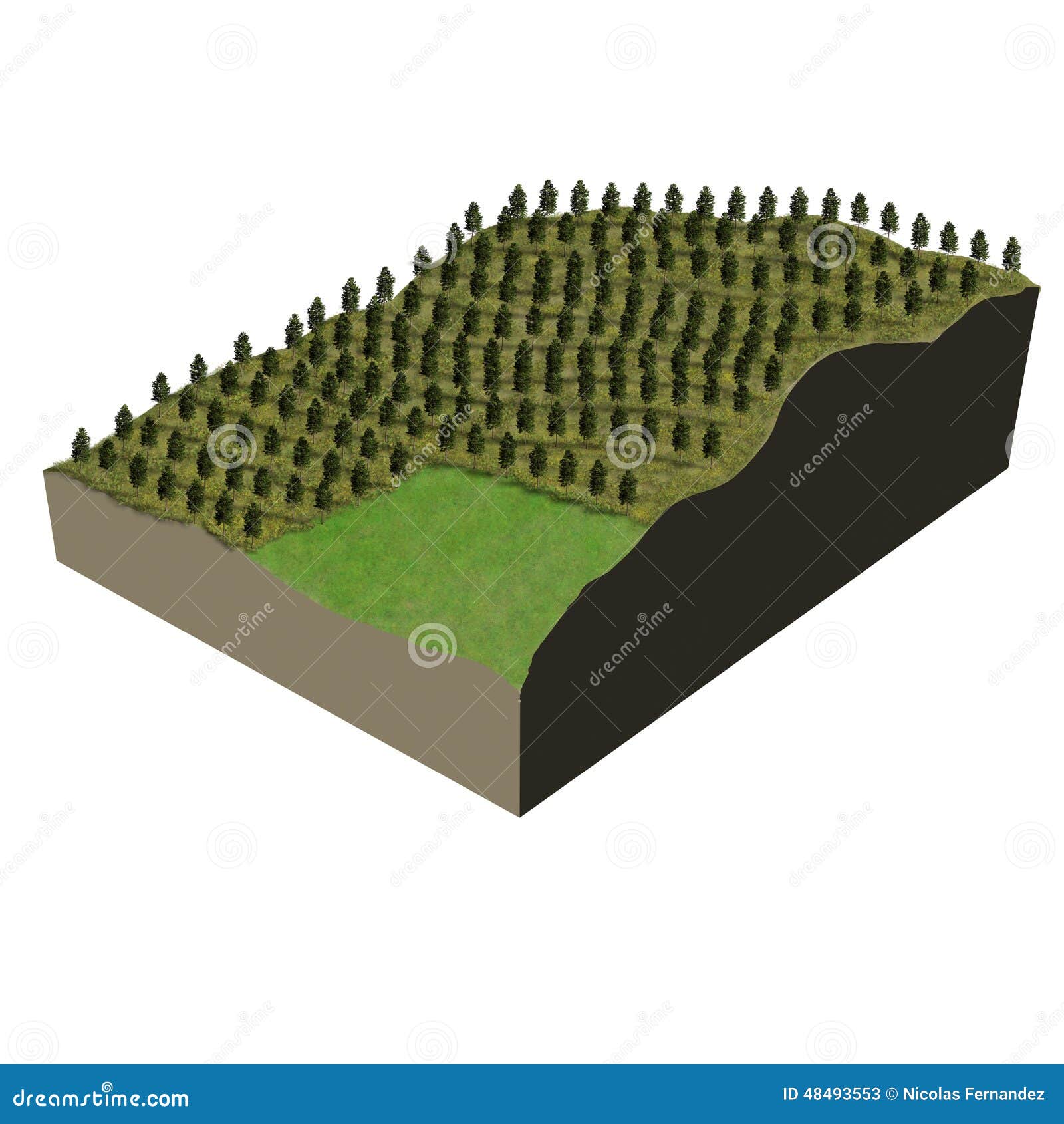 Terrain Model Tree Plantation Stock Illustration - Illustration of ...