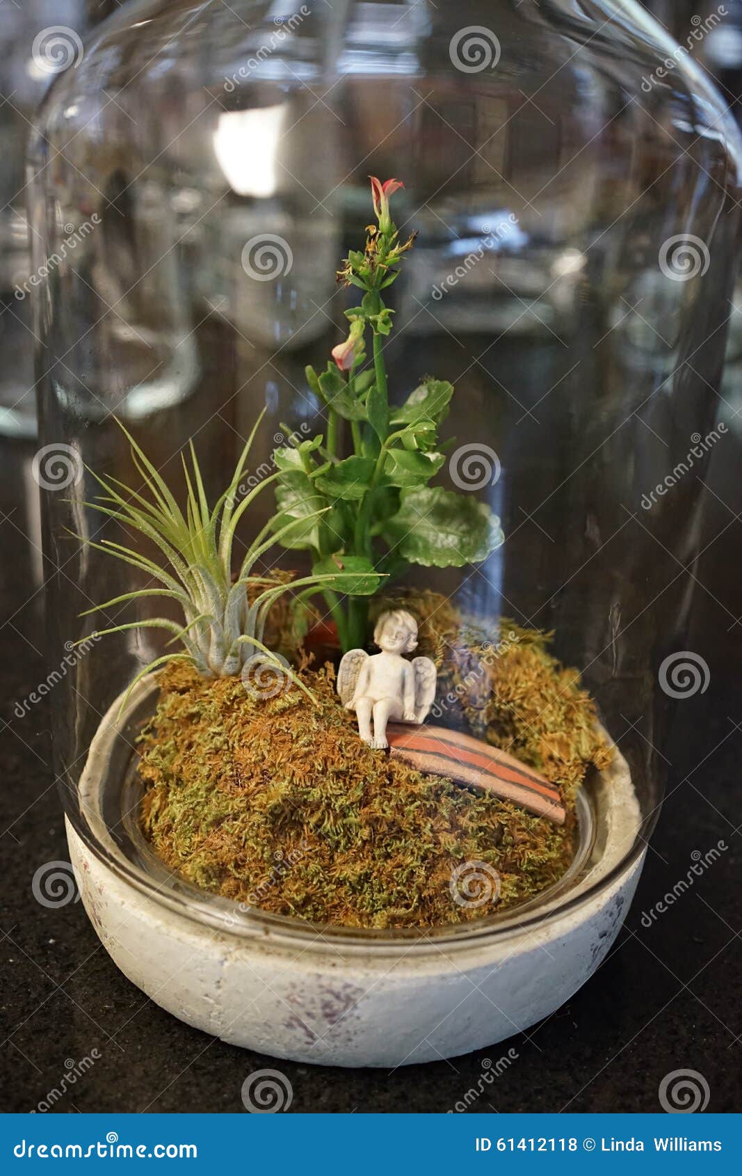 Terrario Del Muschio Con L'angelo - Verticale Fotografia Stock ...