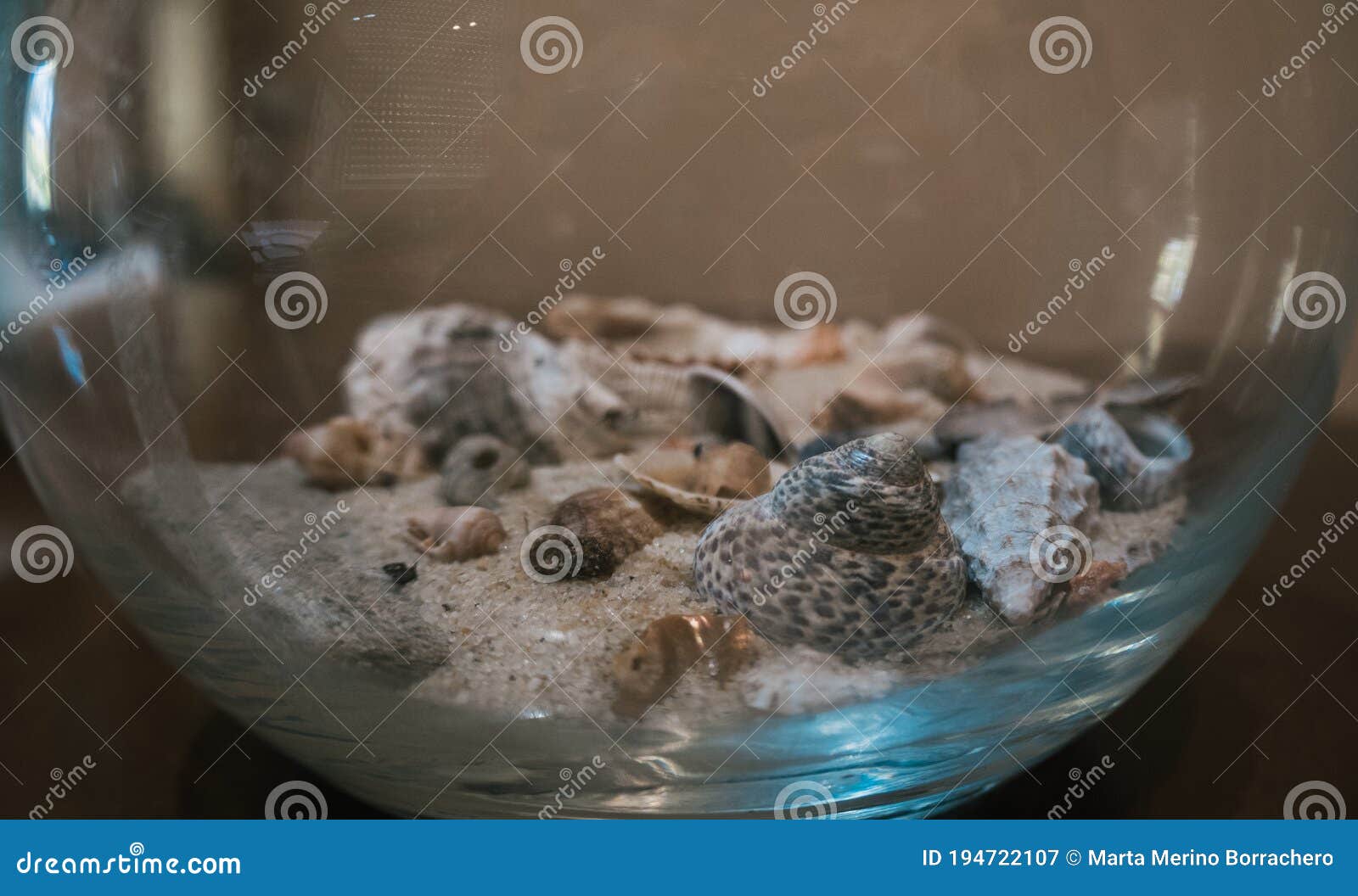 Glass Terrarium with Soil and Shells Stock Image - Image of reflections ...