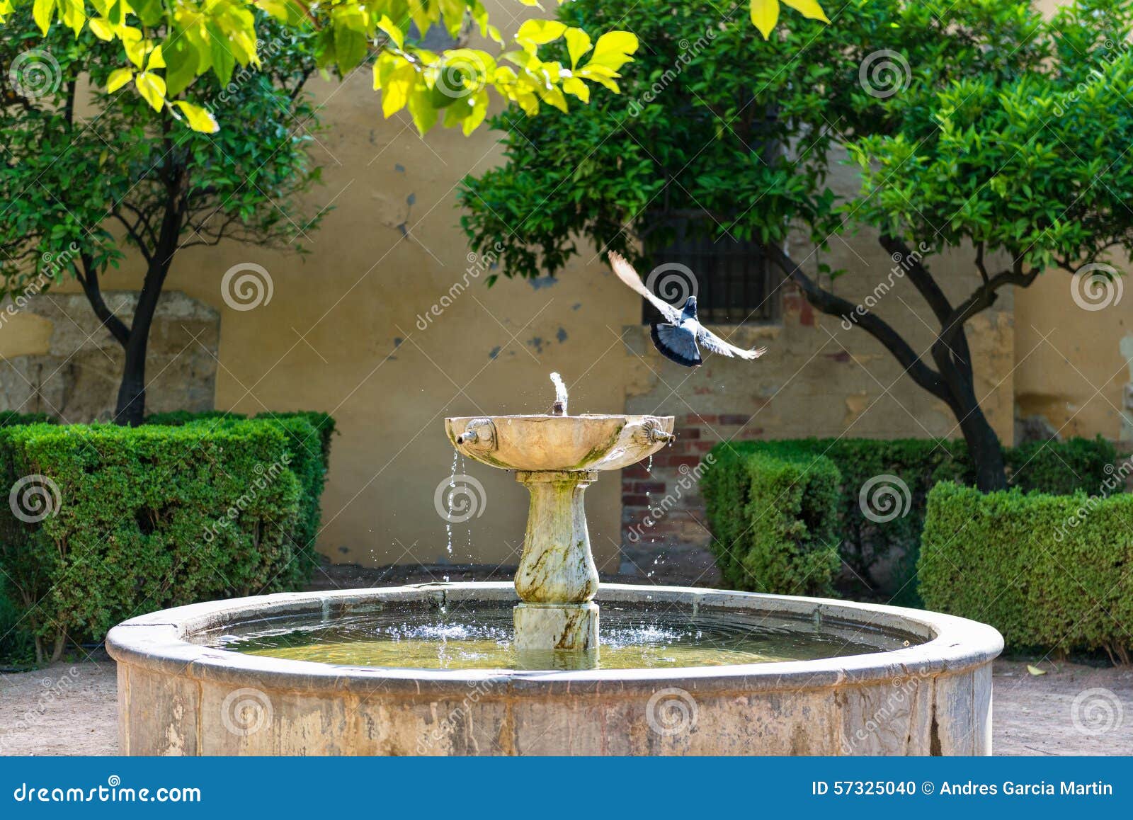 Terras Met Fontein En Vogels Stock Foto - Image of vogelbad, mens: 57325040