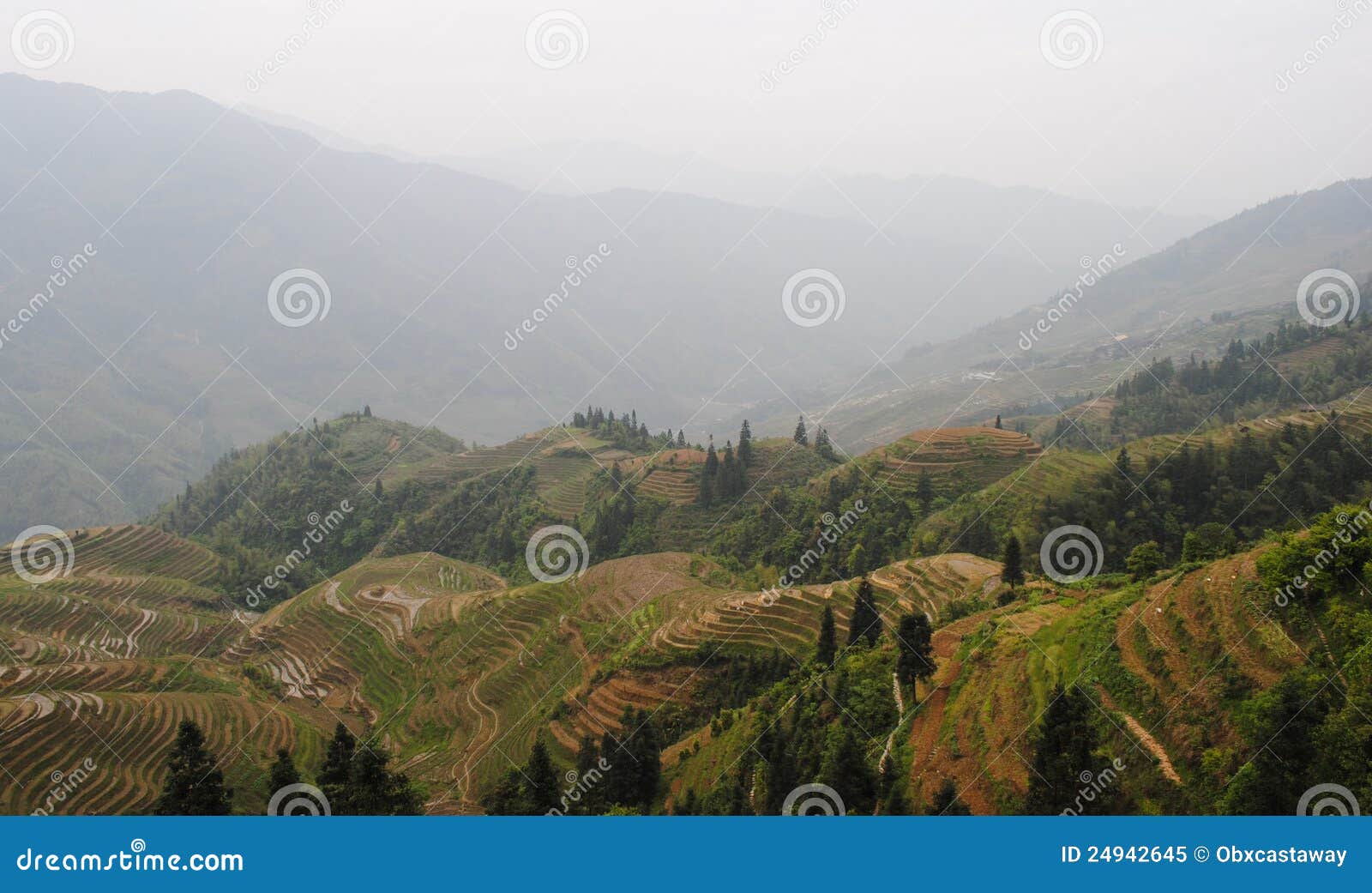 Terrasses de riz de Longji image stock. Image du nature - 24942645