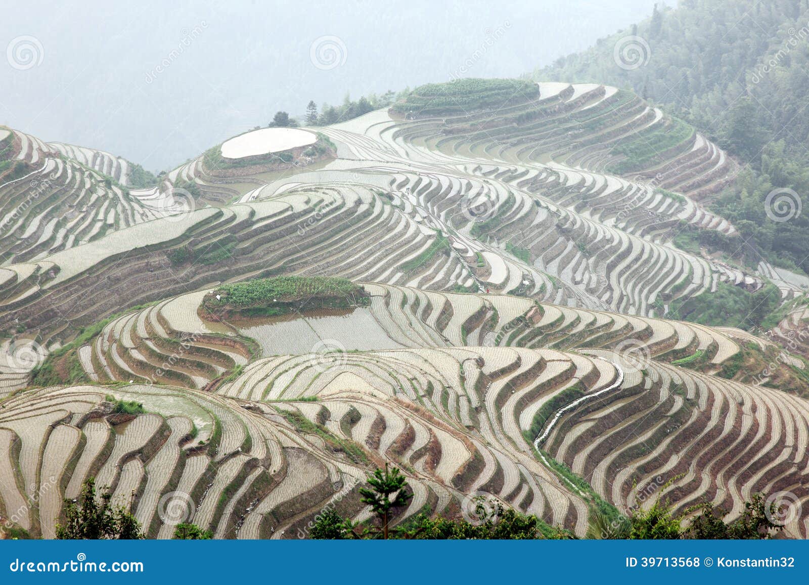 Terrasses De Riz De Longji, Chine Photo stock - Image du zone ...