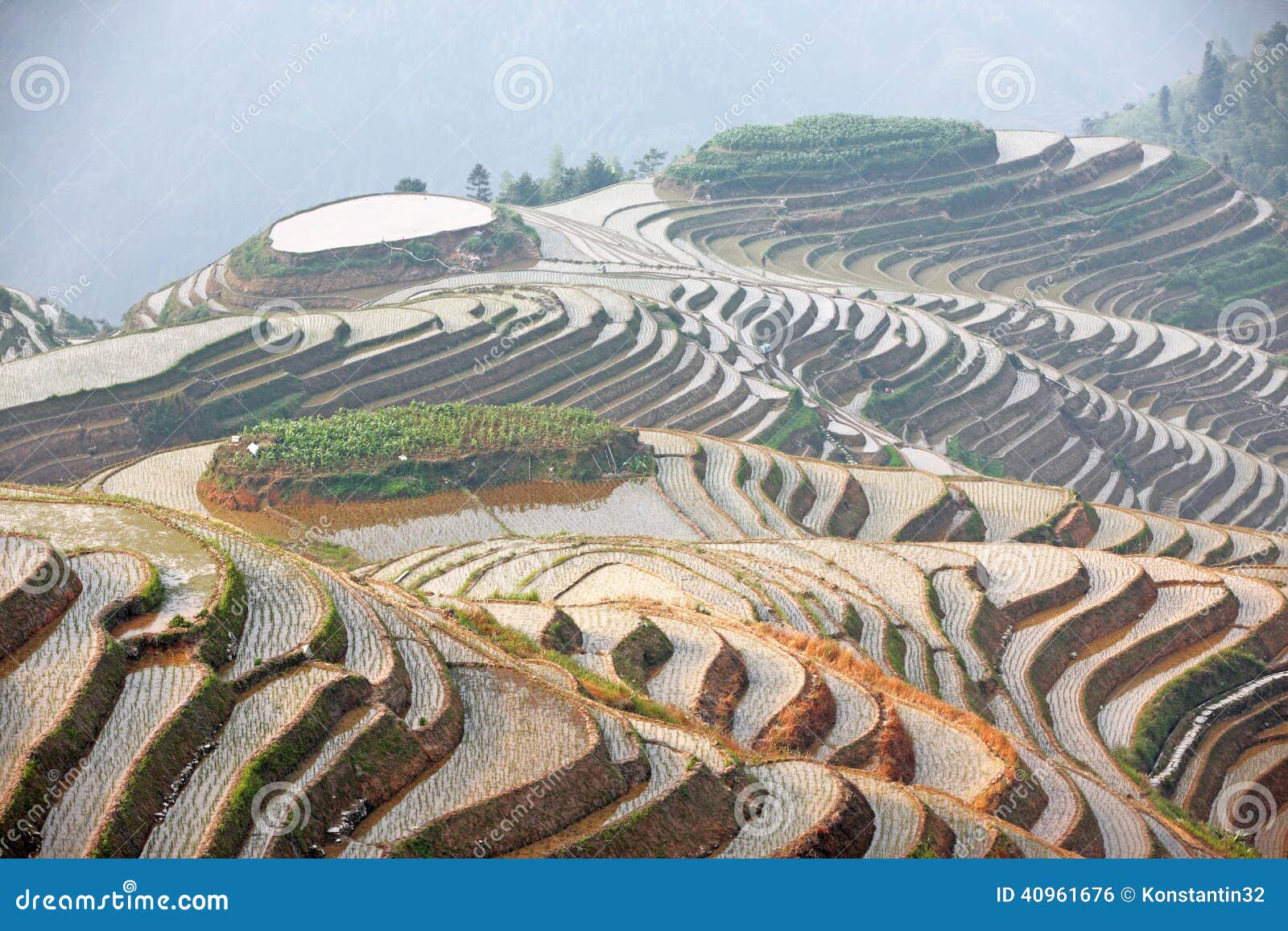 Terrasses De Riz De Longji, Chine Photo stock - Image du agriculture ...