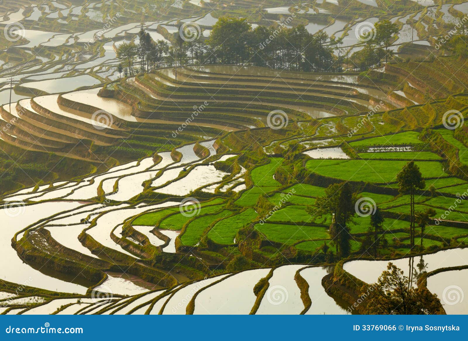 Terrasses De Riz. Yunnan, Chine. Photo stock - Image du province ...