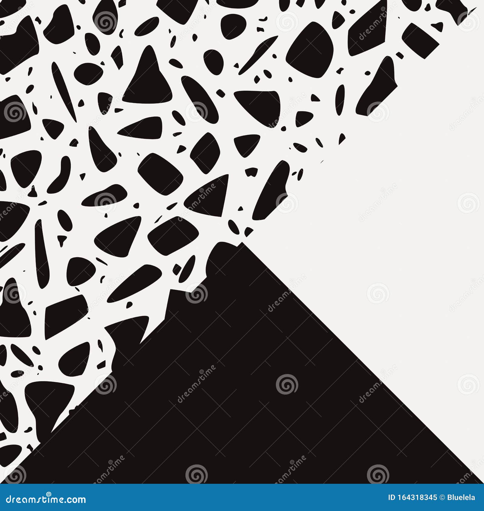 Terrazzo Black Granite Speckled Terrazzo Backsplash Complemented ...