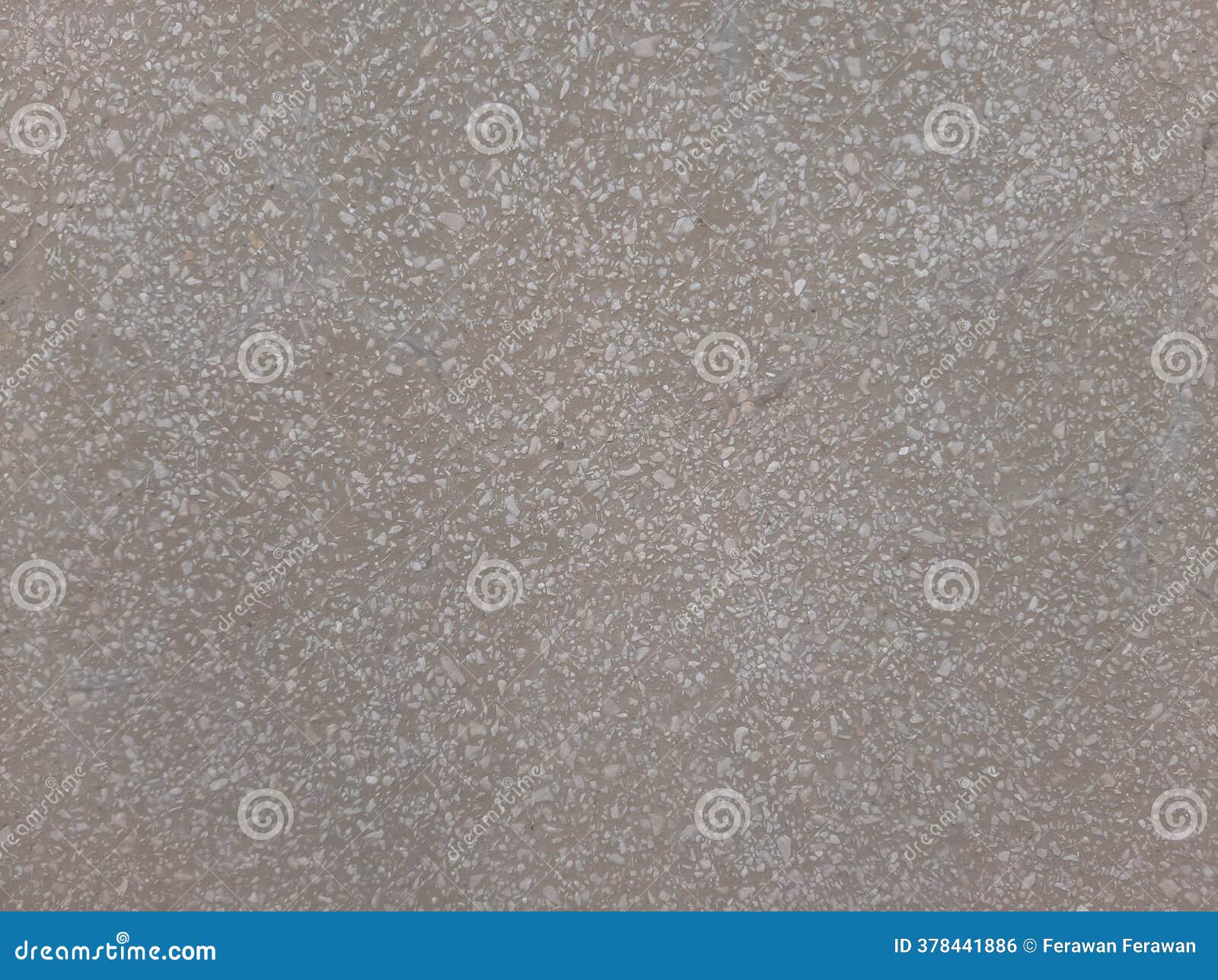 Terrazzo Texture. Wallpaper And Texture. High Resolution Stock Photo ...