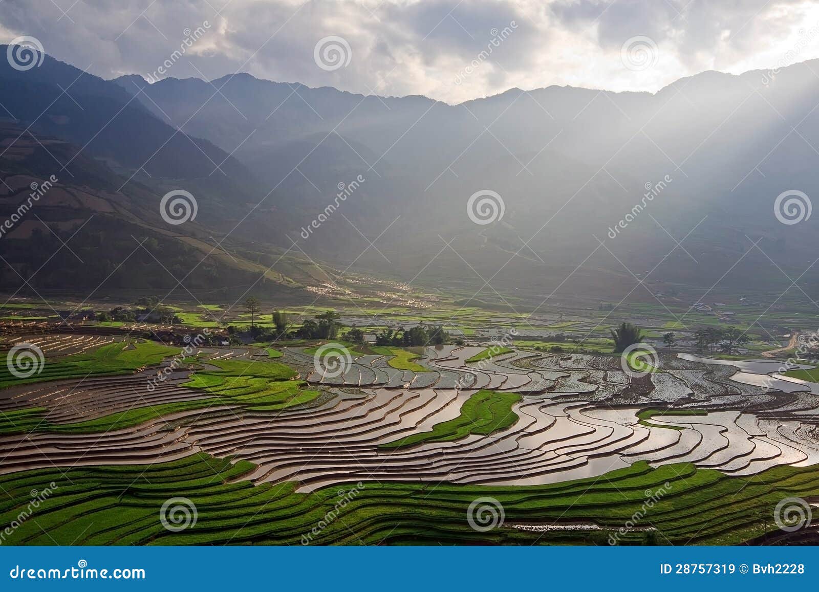 Terrced Rice Fields - Sun Rays Shining Down Terrac Stock Image - Image ...