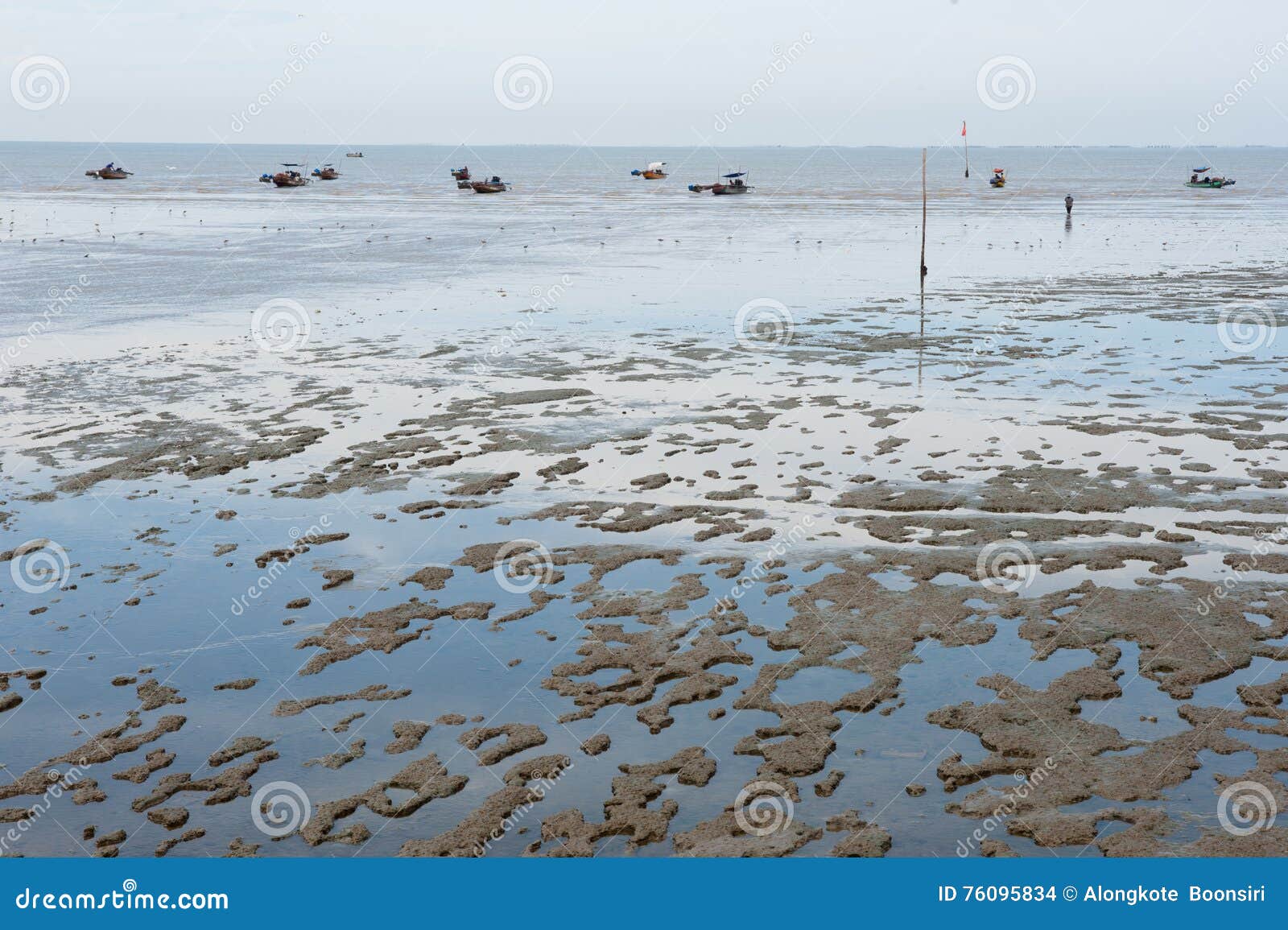 Terre Humide De Paysage Marin De Rivage De Boue Photo stock - Image du ...