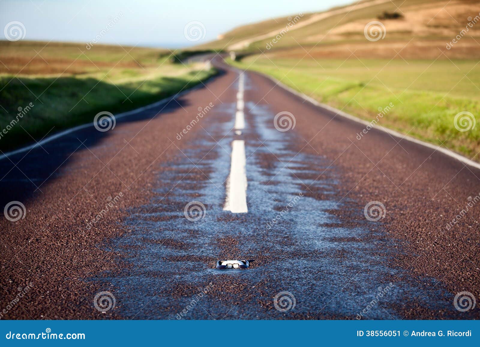 Terre-plein Central D'une Route De Campagne Image stock - Image du ...