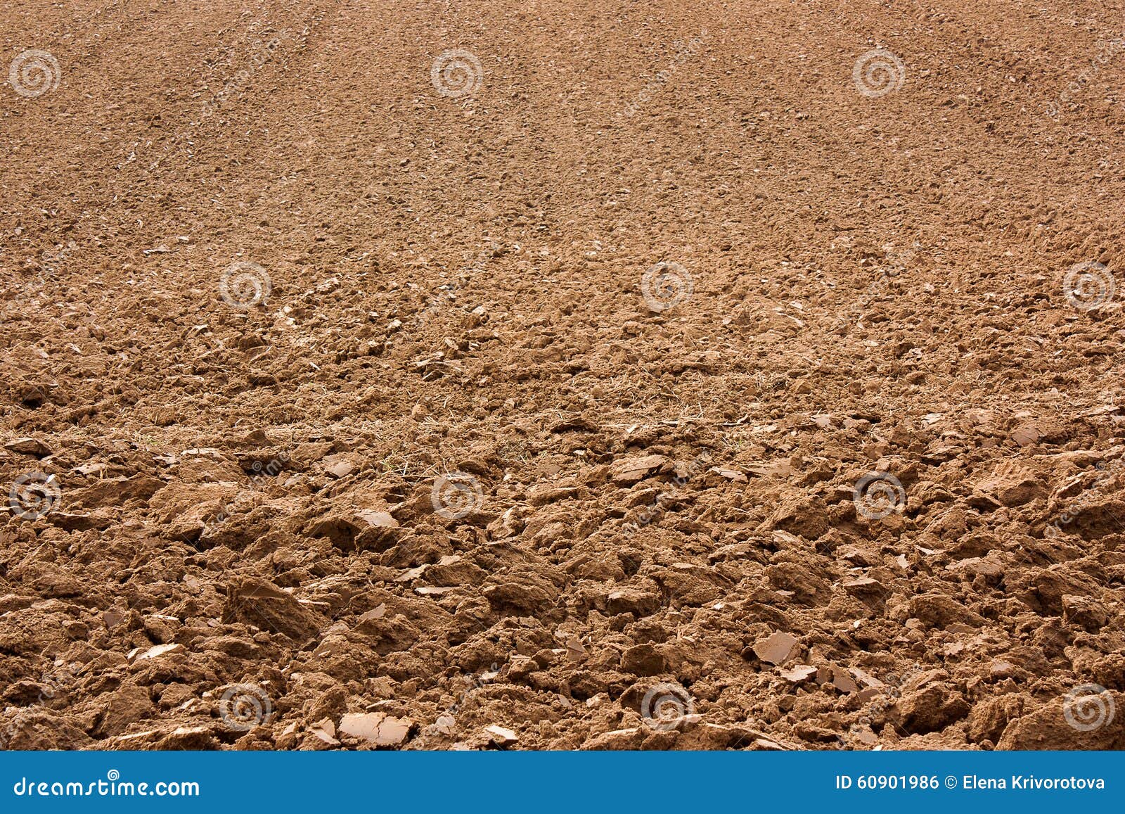 Terreno arato fotografia stock. Immagine di settembre - 60901986