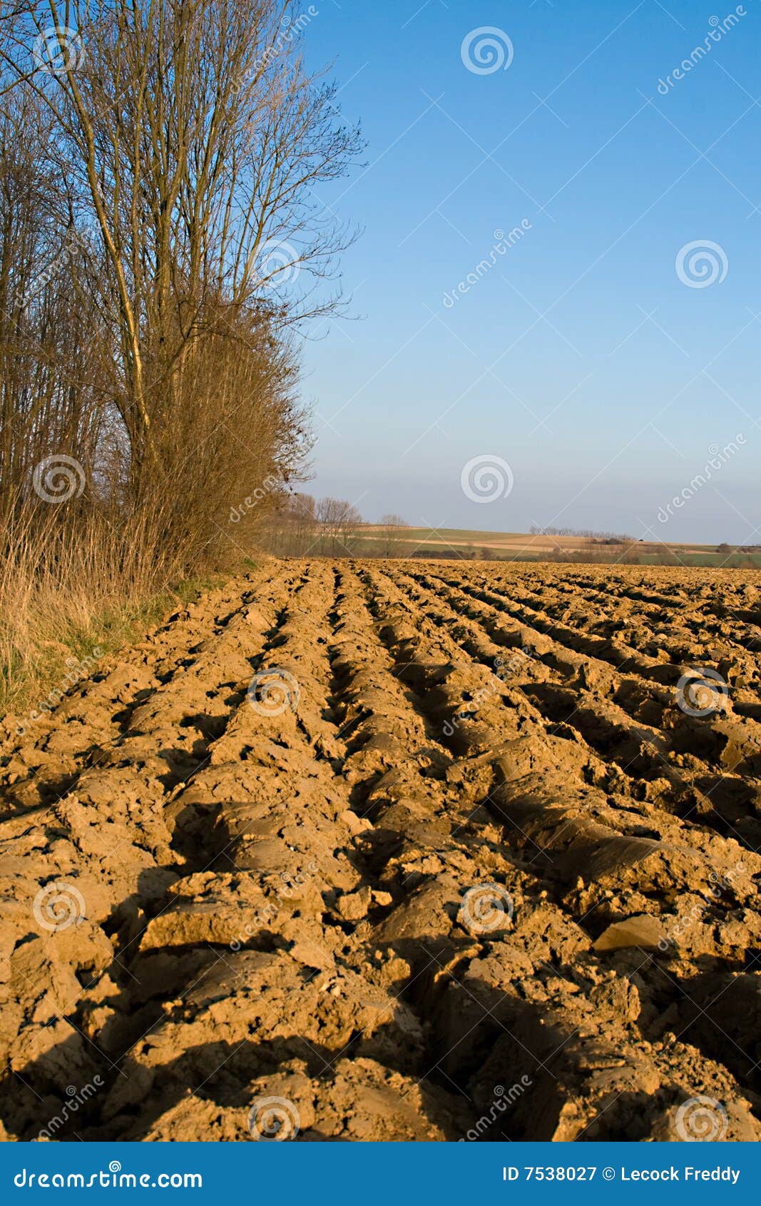 Terreno arato immagine stock. Immagine di agronomia, aratro - 7538027