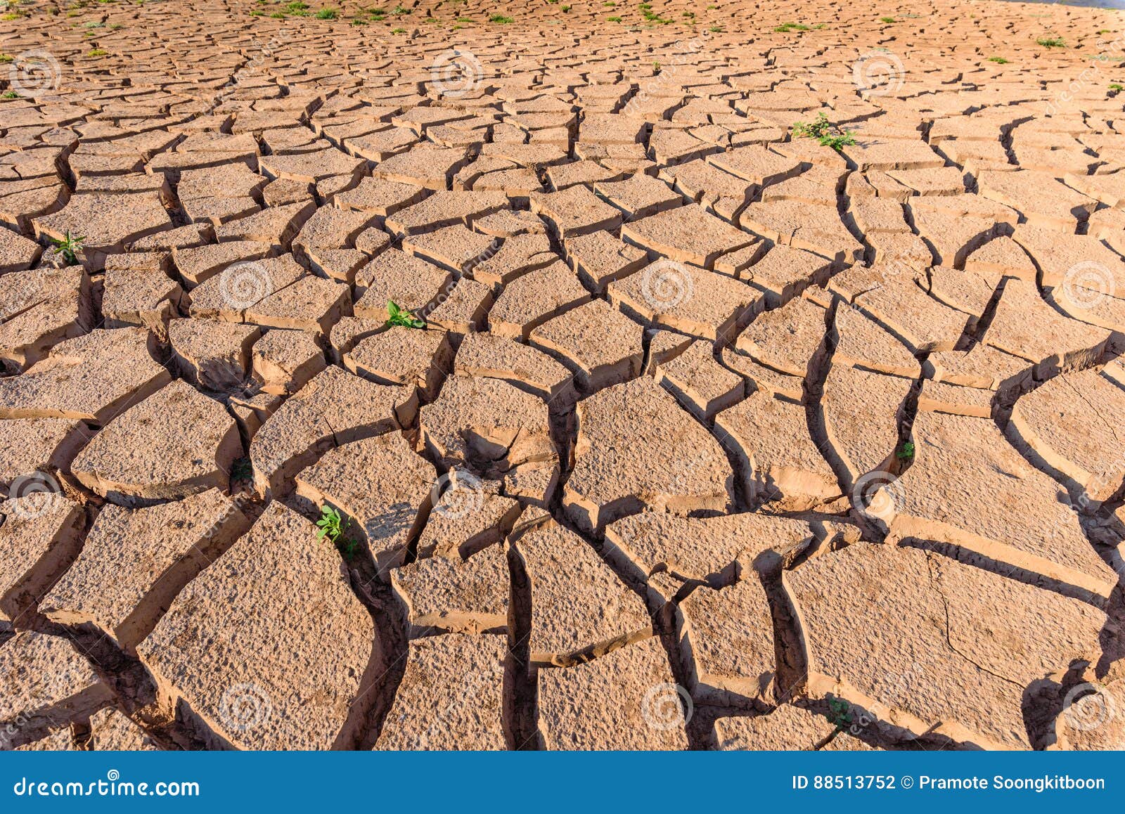 Terreno arido fotografia stock. Immagine di sfondo, arido - 88513752