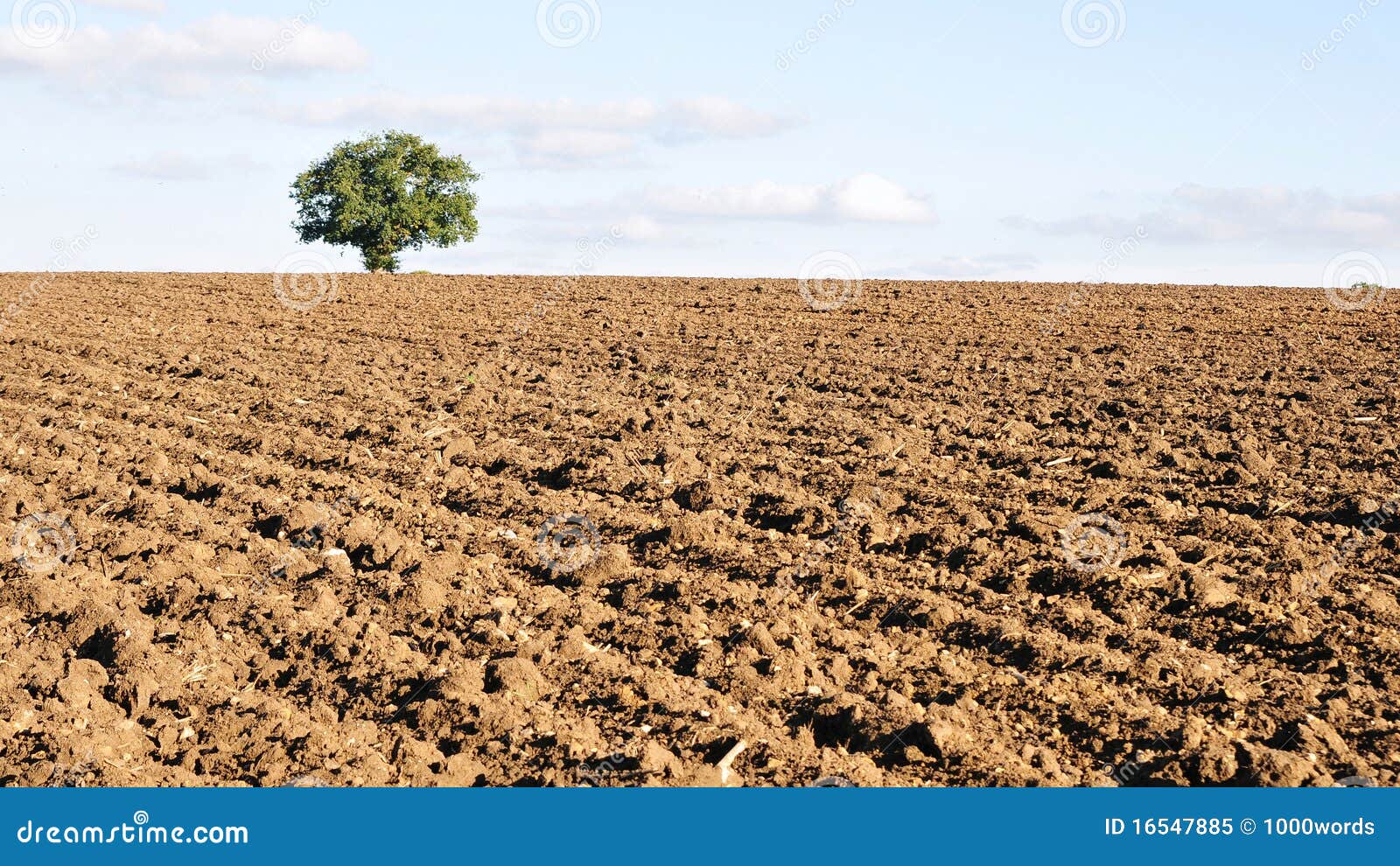 Terreno coltivabile arato immagine stock. Immagine di agricoltura ...
