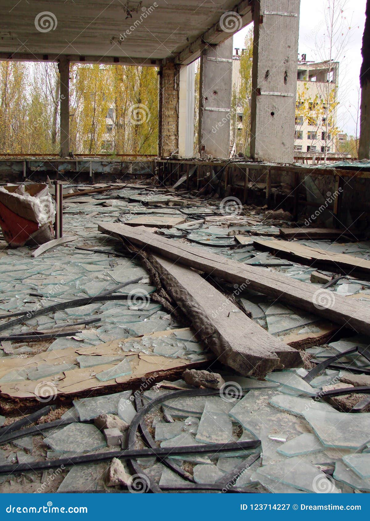 Terrible Consequences of the Explosion at the Chernobyl Nuclear Power ...