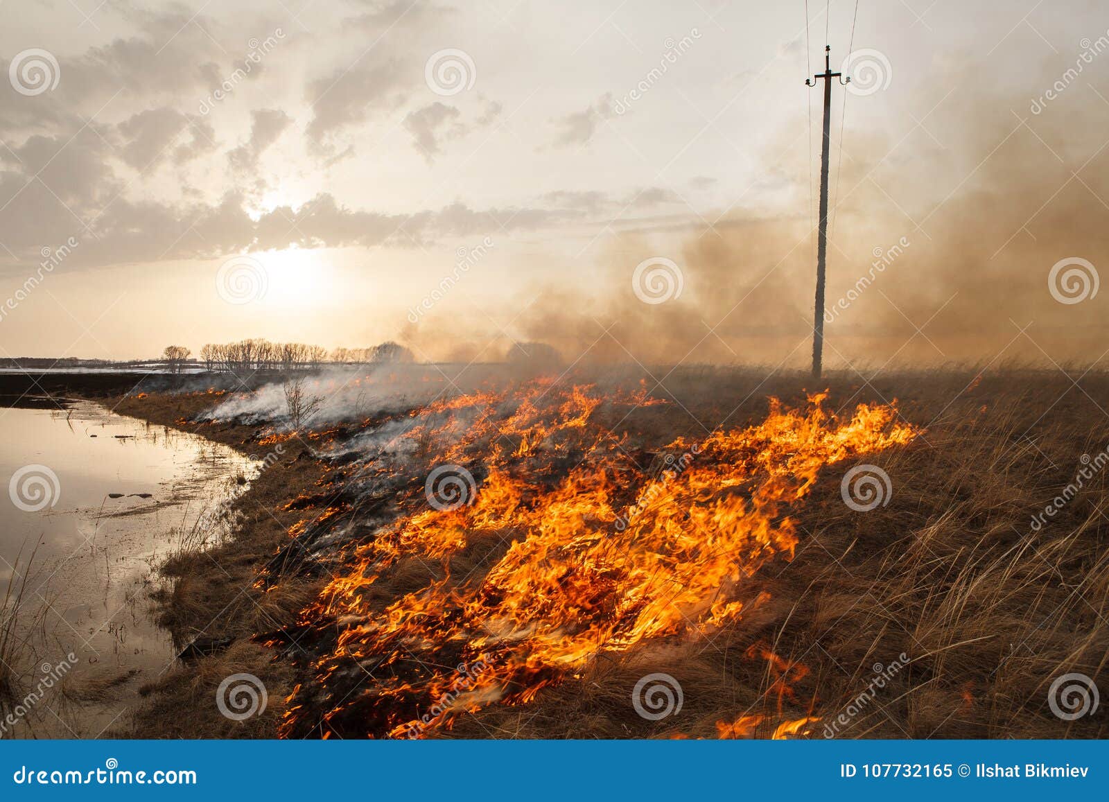 A Terrible Fire Destroys the Field. the Flame Burns the Spring Grass ...