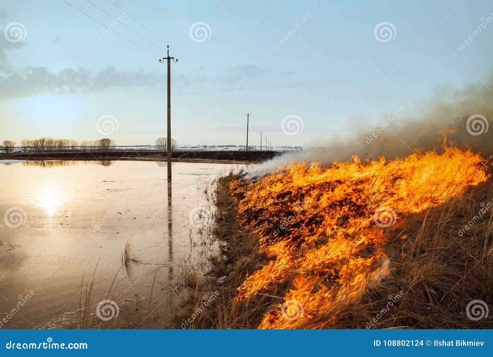 A Terrible Fire Destroys the Field. the Flame Burns the Spring Grass ...
