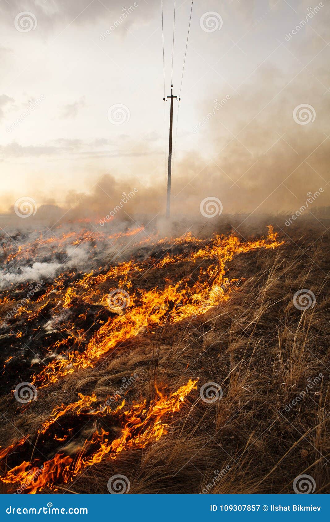 A Terrible Fire Destroys the Field. the Flame Burns the Spring Grass ...