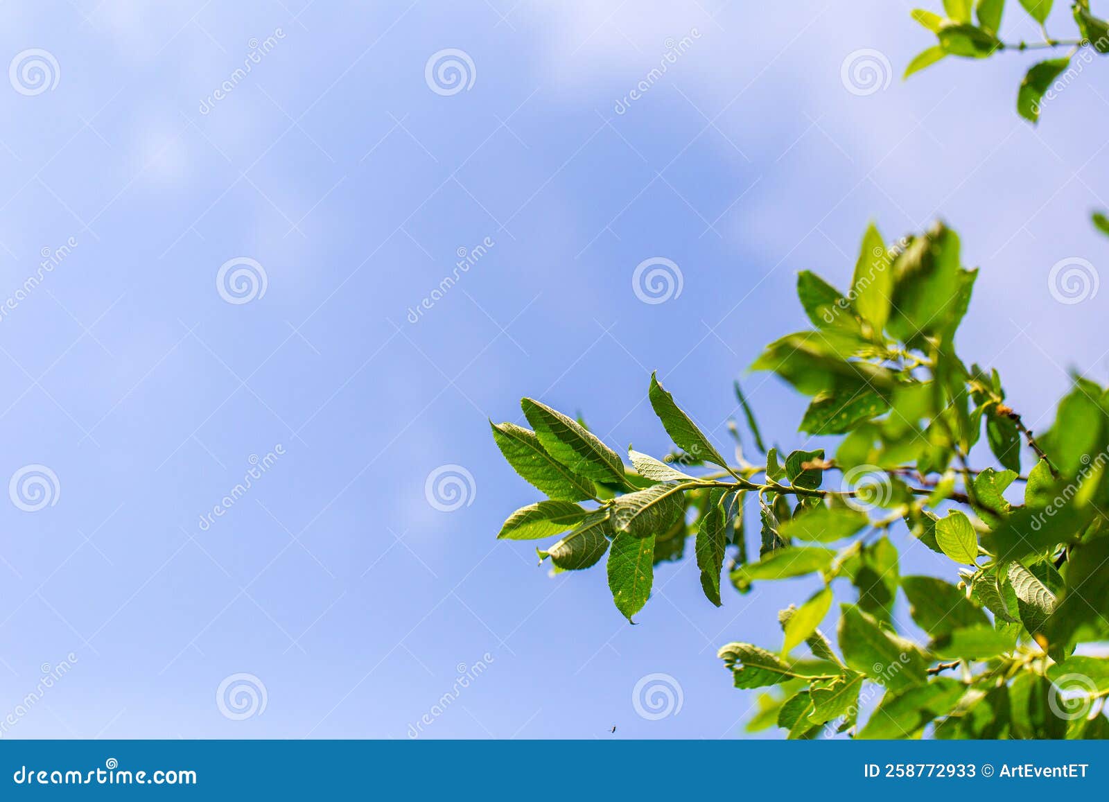 Terrible Nuclear Explosion Over Night City Stock Image - Image of ...