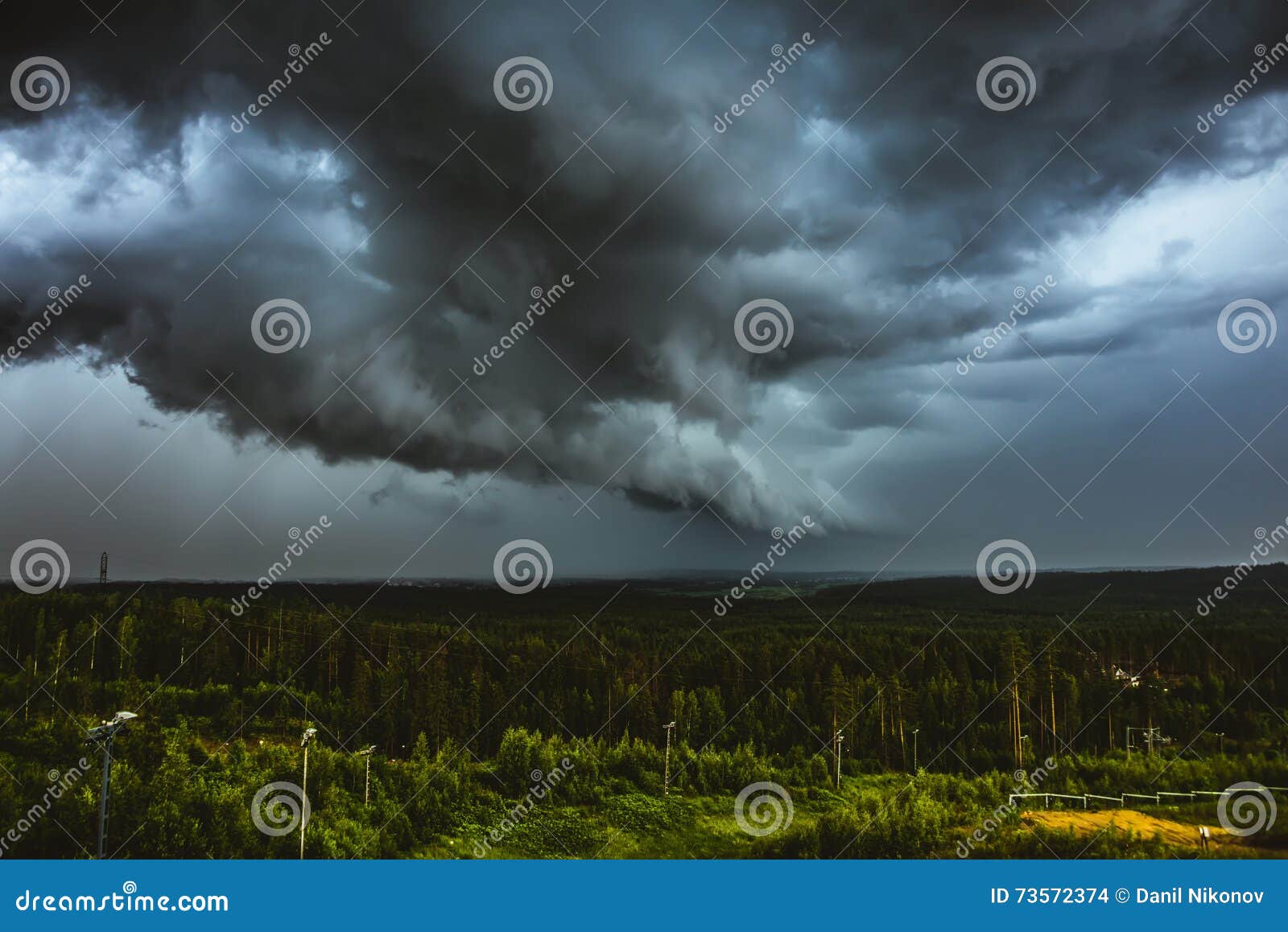 Terrible storm in forest stock photo. Image of green - 73572374