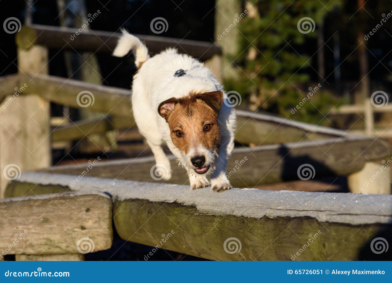 205 Quick Beam Stock Photos - Free & Royalty-Free Stock Photos from ...