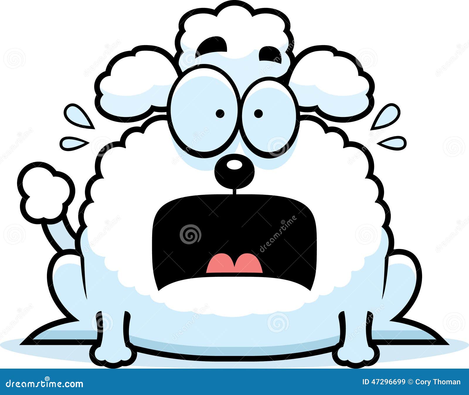 Terrified Little Poodle stock vector. Illustration of vector - 47296699