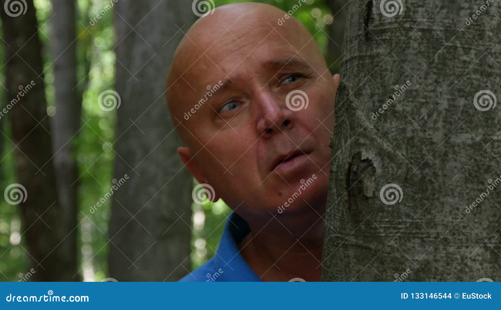 Terrified Man is Hiding Scared after a Tree in the Forest Stock Footage ...