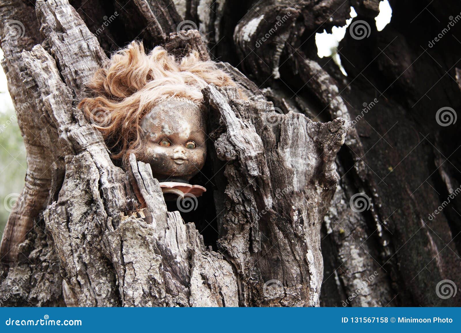 A Terrifying Burnt Doll Head Stock Photo - Image of corpse, doll: 131567158