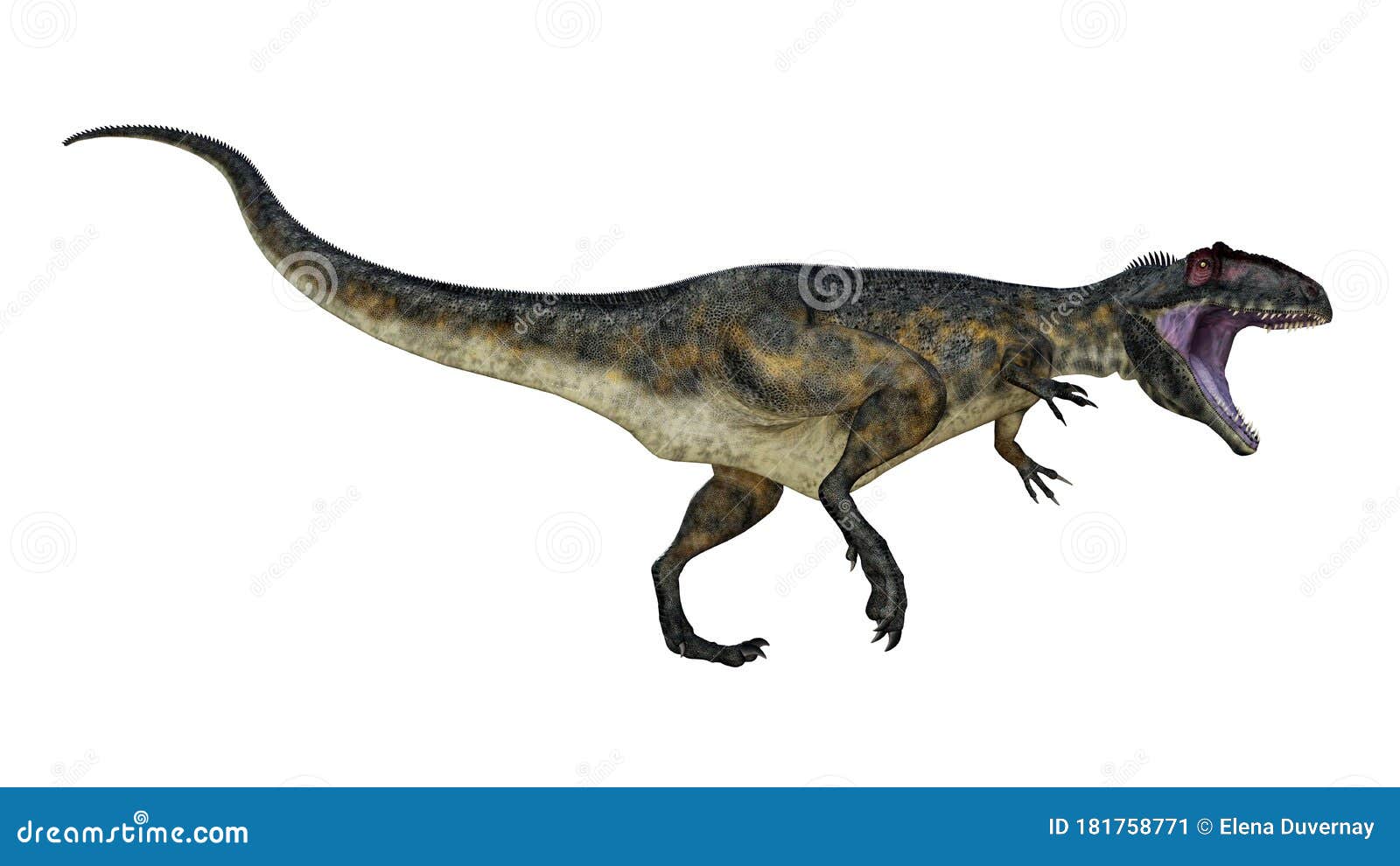 Terrifying Giganotosaurus Dinosaur Roaring - 3D Render Stock ...
