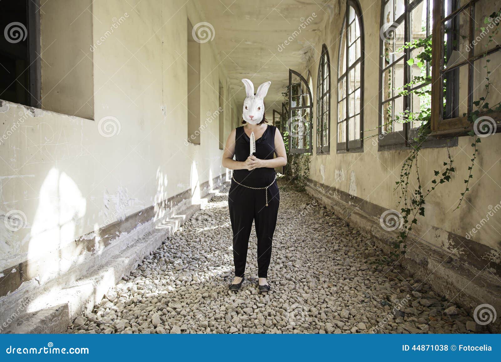 Terrifying killer rabbit stock photo. Image of murderer - 44871038