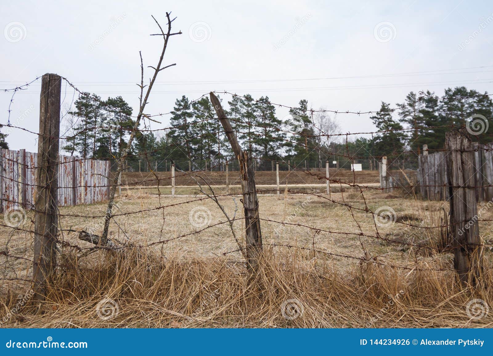 The Territory Behind the Barbed Wire Fence Stock Photo - Image of ...