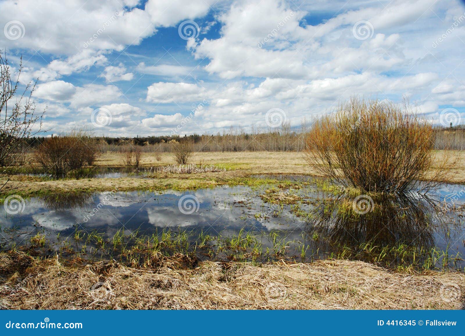 Terwillegar park stock image. Image of reflection, summer - 4416345