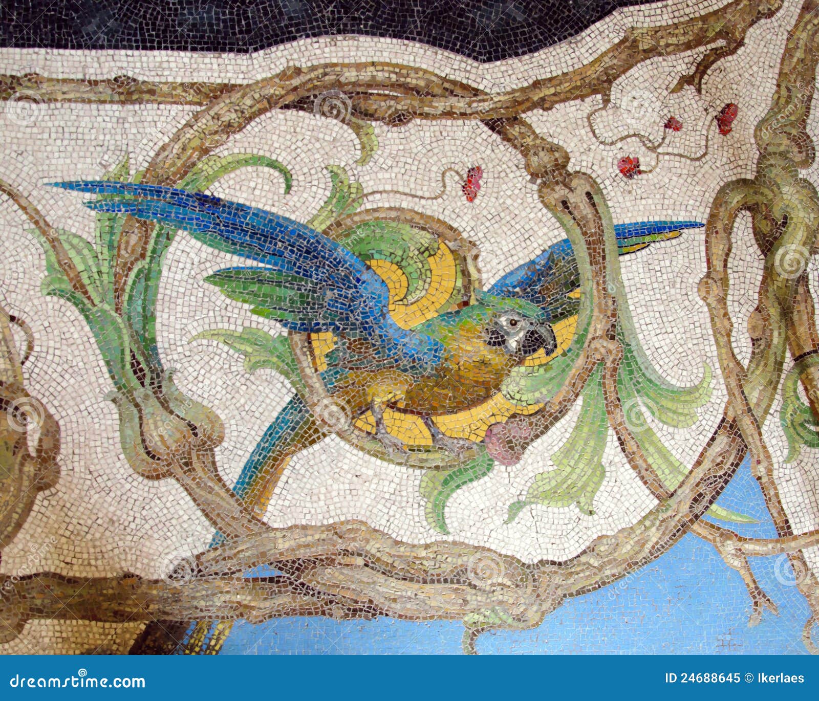 Tesselated Parrot in Ragaleira Palace Stock Image - Image of macaw ...