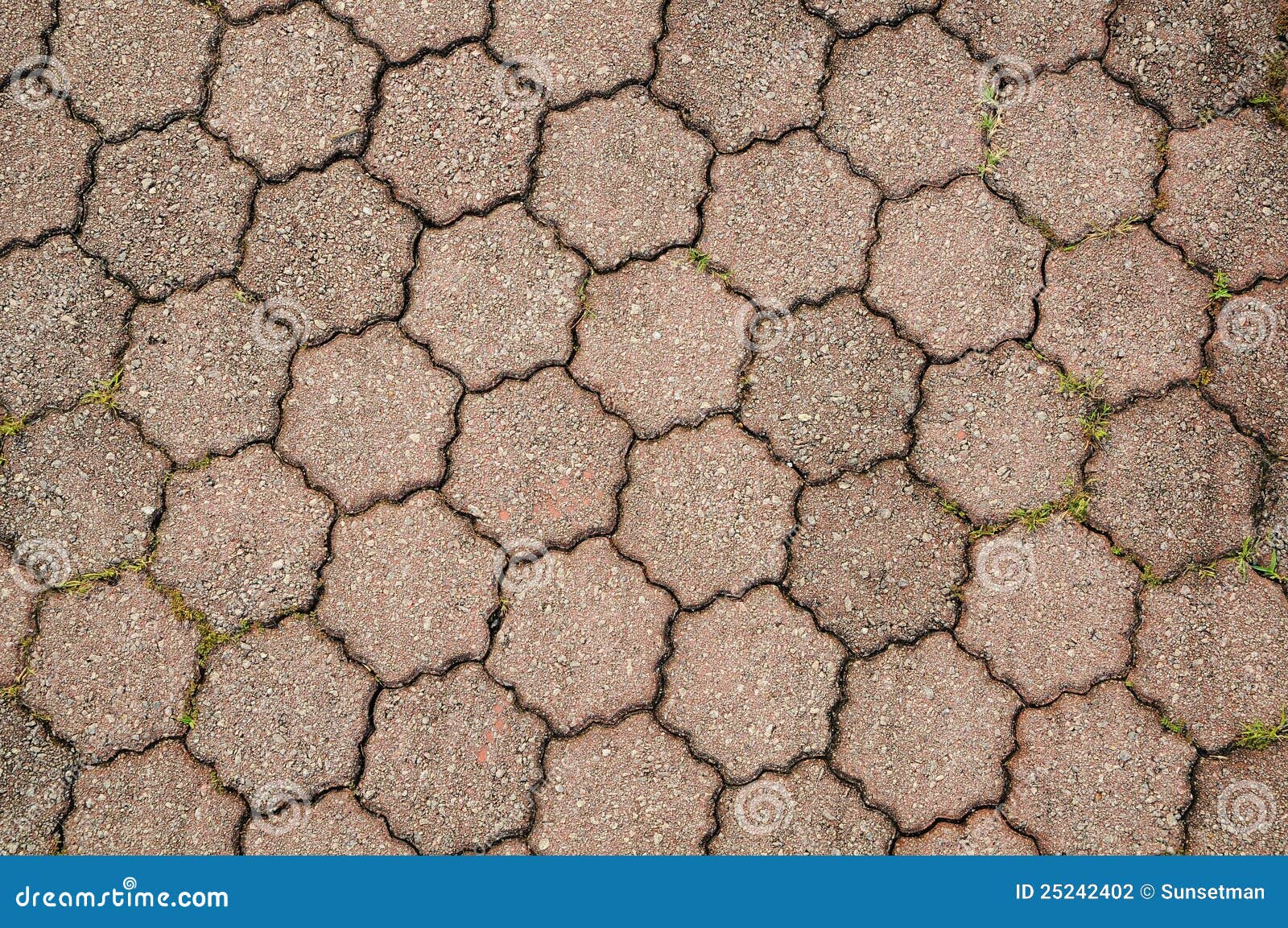 Tessellated Design on Pavement Stock Photo - Image of avenue, pavement ...