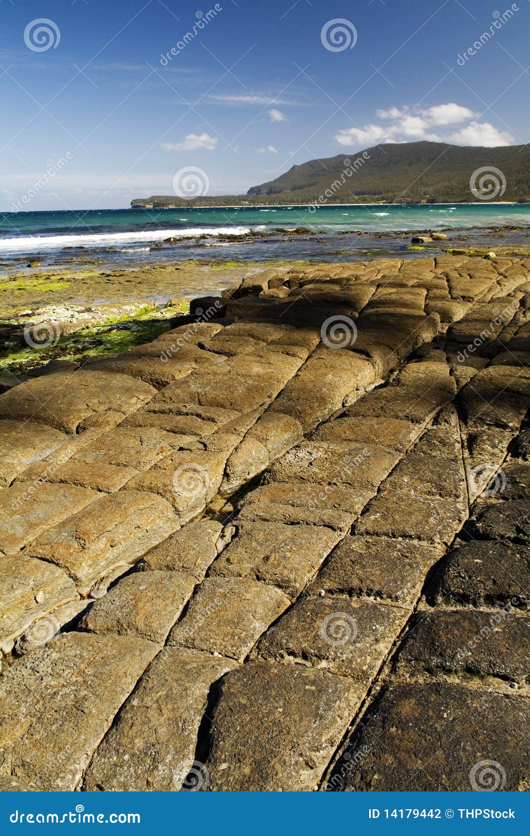 Tessellated Rocks stock photo. Image of pavement, natural - 14179442