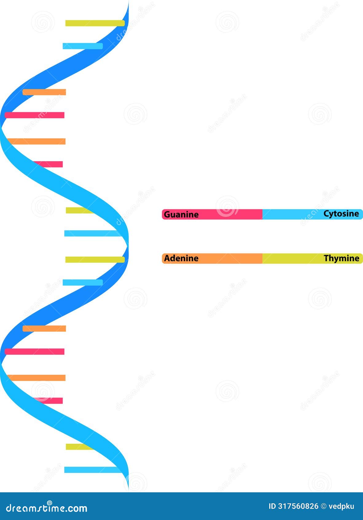 RNA Design in Medical, RNA Scientific, RNA with Details, RNA Sign ...
