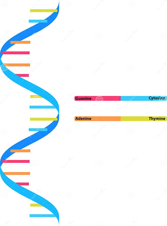 RNA Design in Medical, RNA Scientific, RNA with Details, RNA Sign ...