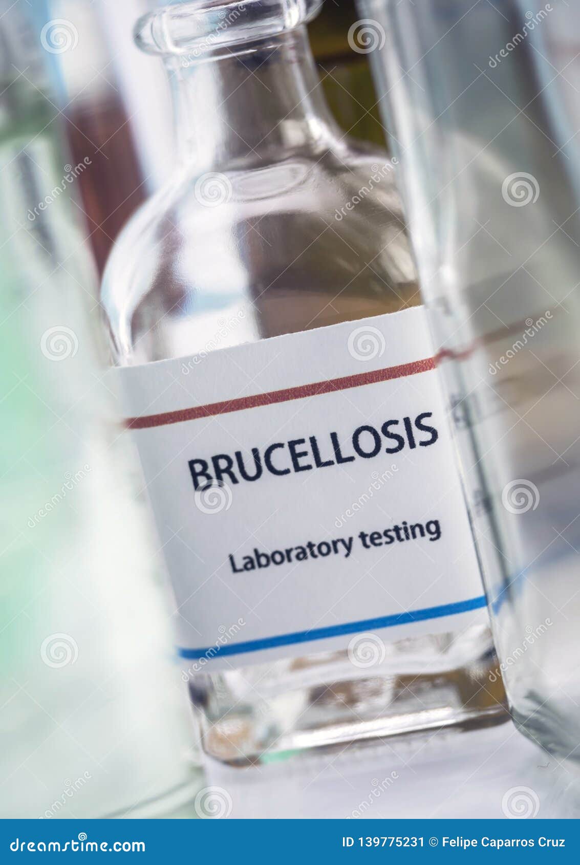 Test Brucellosis in Laboratory, Conceptual Image Stock Image - Image of ...