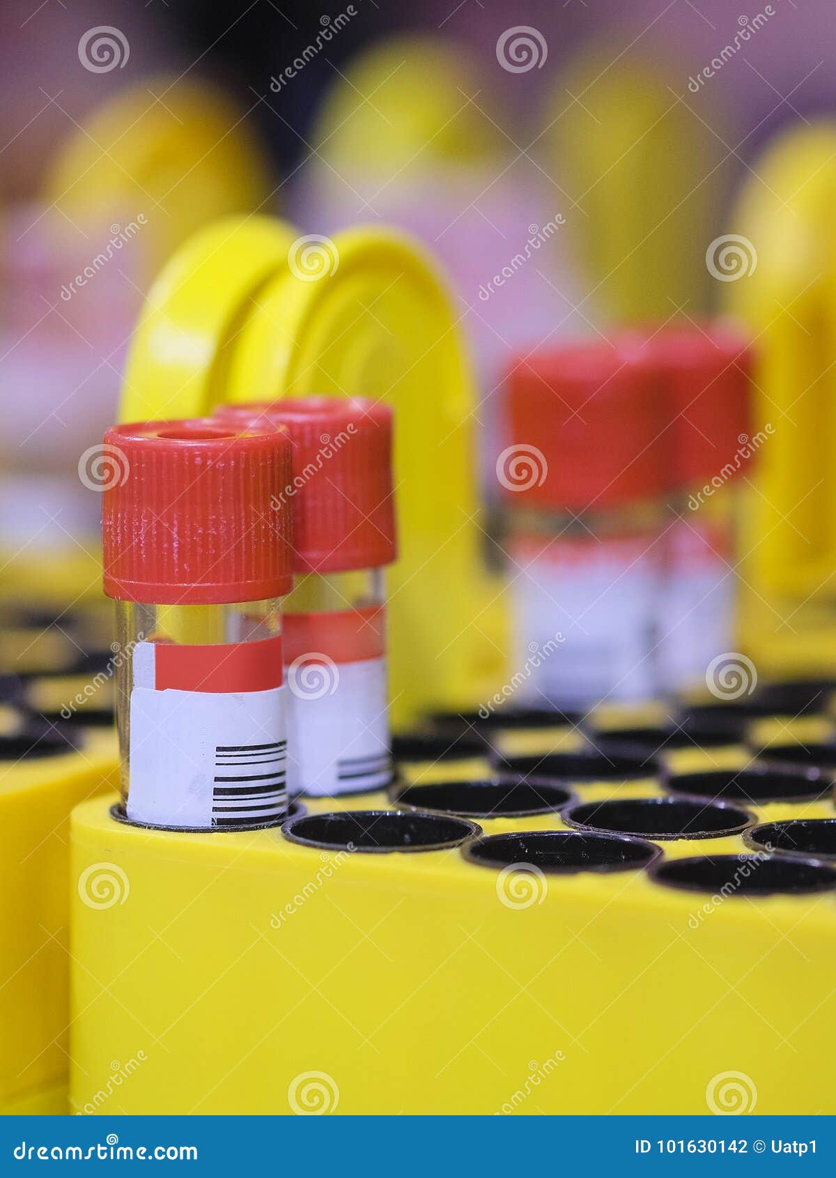 Test-buizen in Een Laboratorium Stock Foto - Image of technologie ...