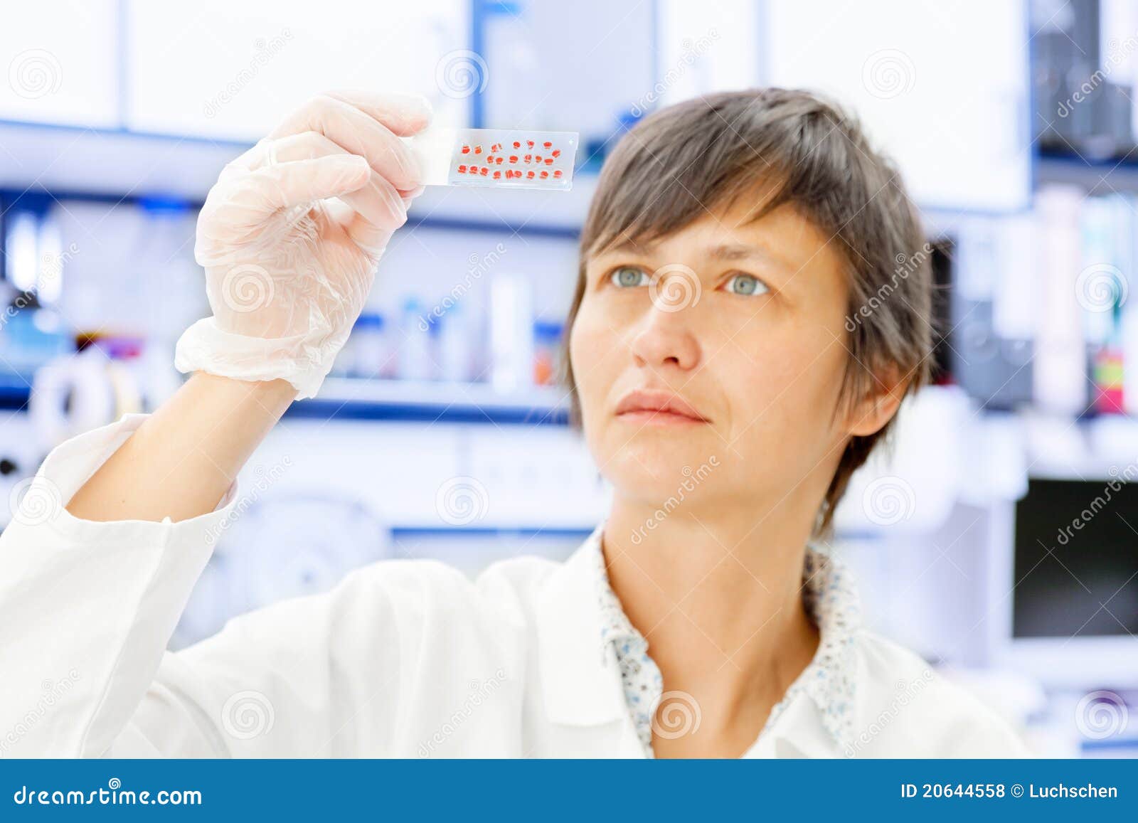 Test for the cancer cells stock photo. Image of health - 20644558