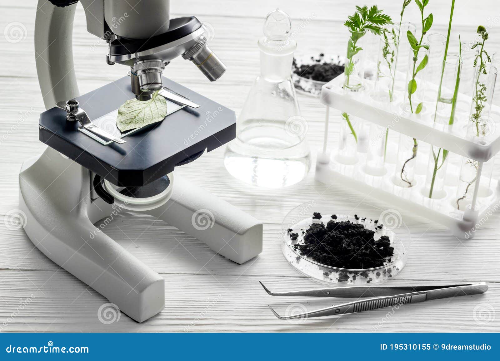 Test Floral Samples with Microscope in Biological Lab Stock Image ...