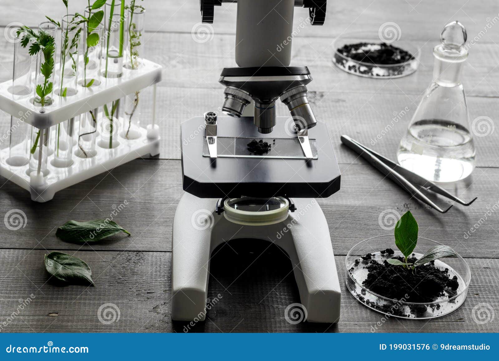 Test Floral Samples with Microscope in Biological Lab Stock Photo ...