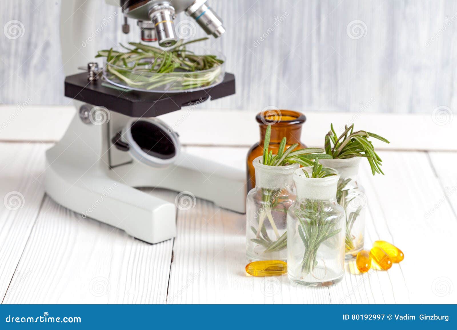 Test Herbs Samples on Microscope in Laboratory Close Up Stock Image ...