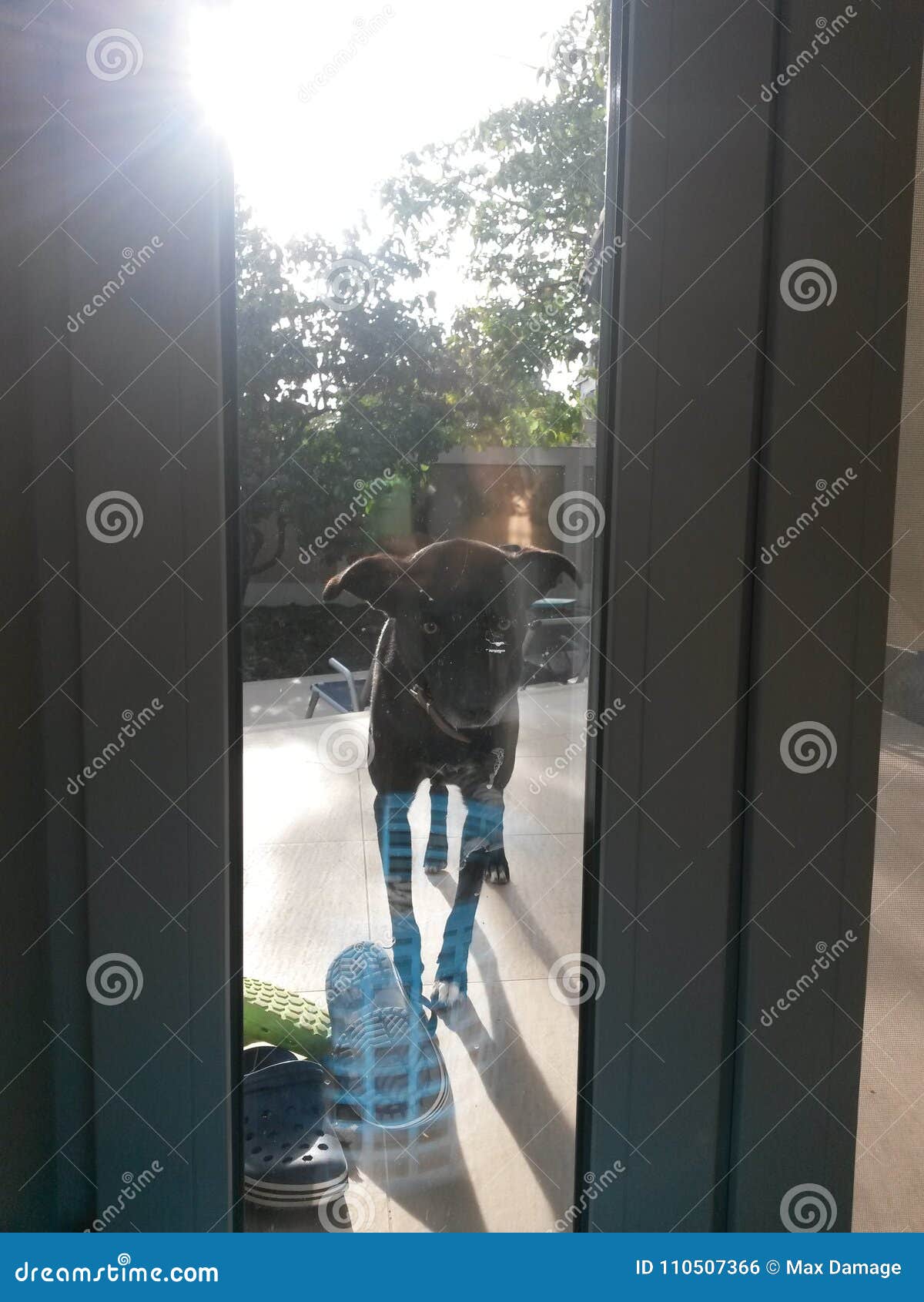 Test Picture Please Refuse Stock Photos - Free & Royalty-Free Stock ...