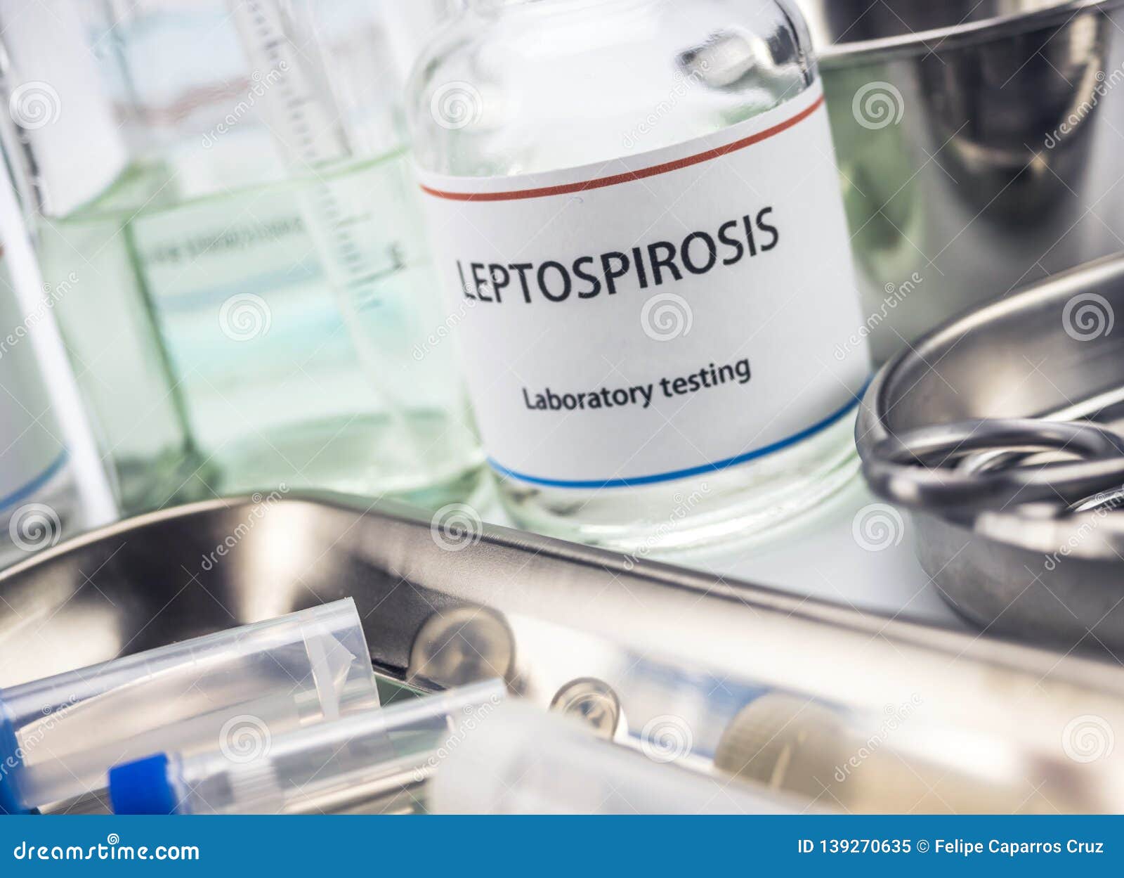 Leptospirosis - Test With Blood Sample. Top View Isolated On Black ...