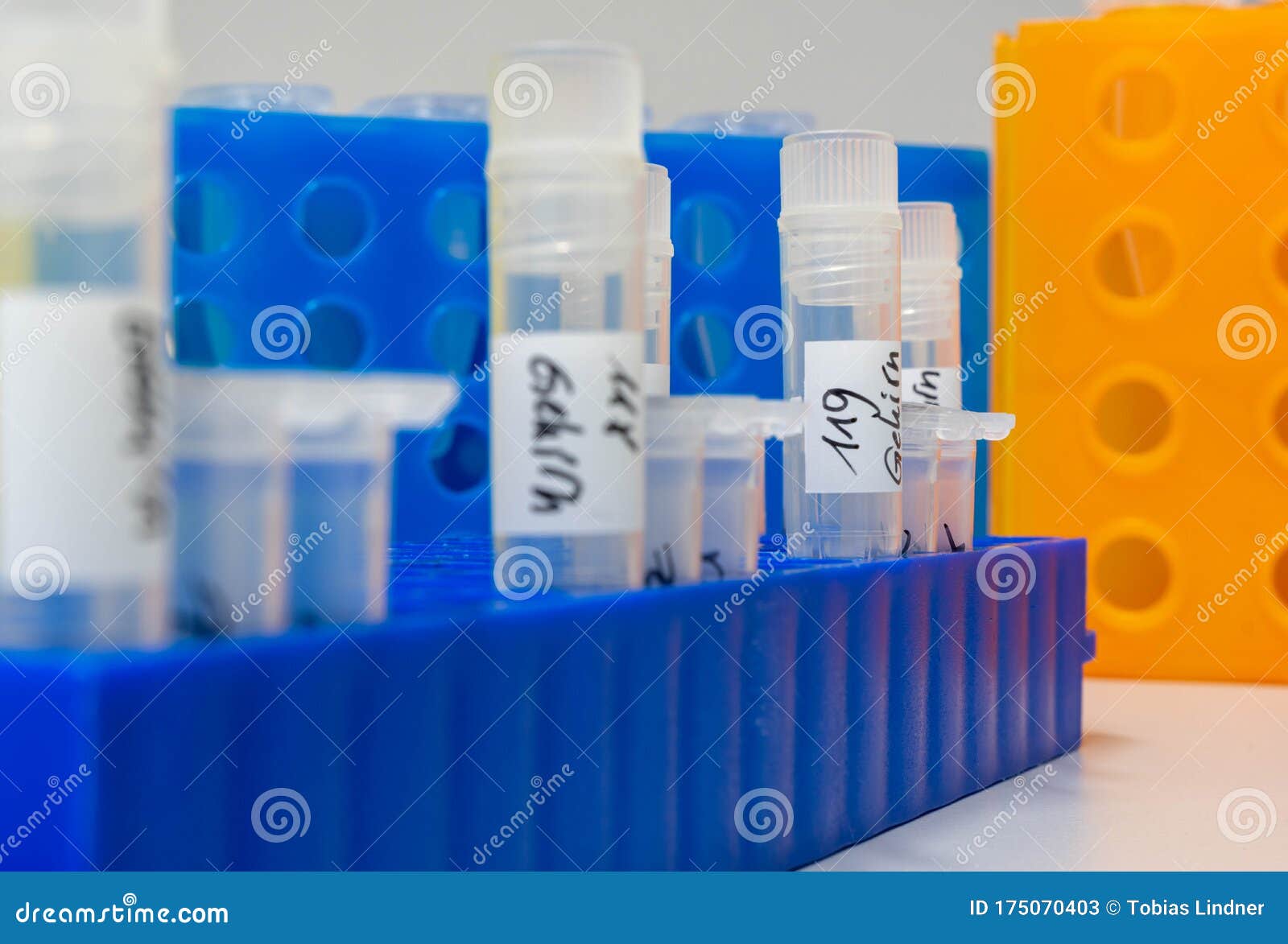 Test or Micro Tubes in a Laboratory Environment Stock Image - Image of ...