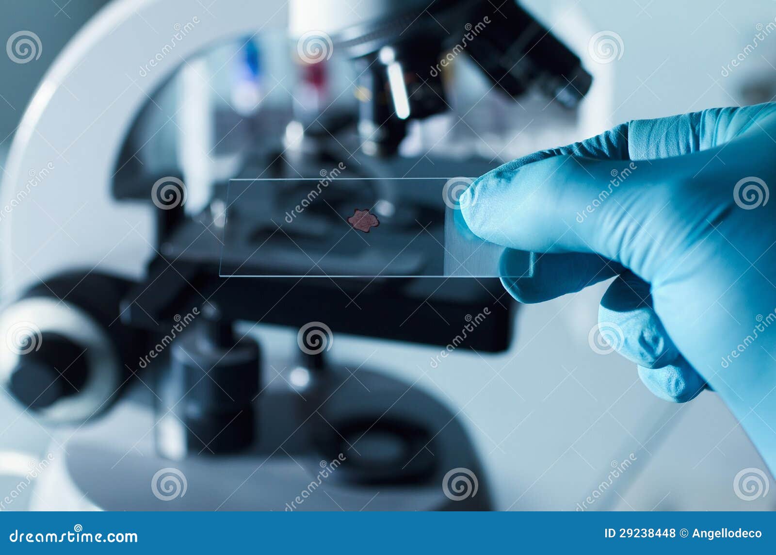 Test sample for microscope stock photo. Image of glass - 29238448