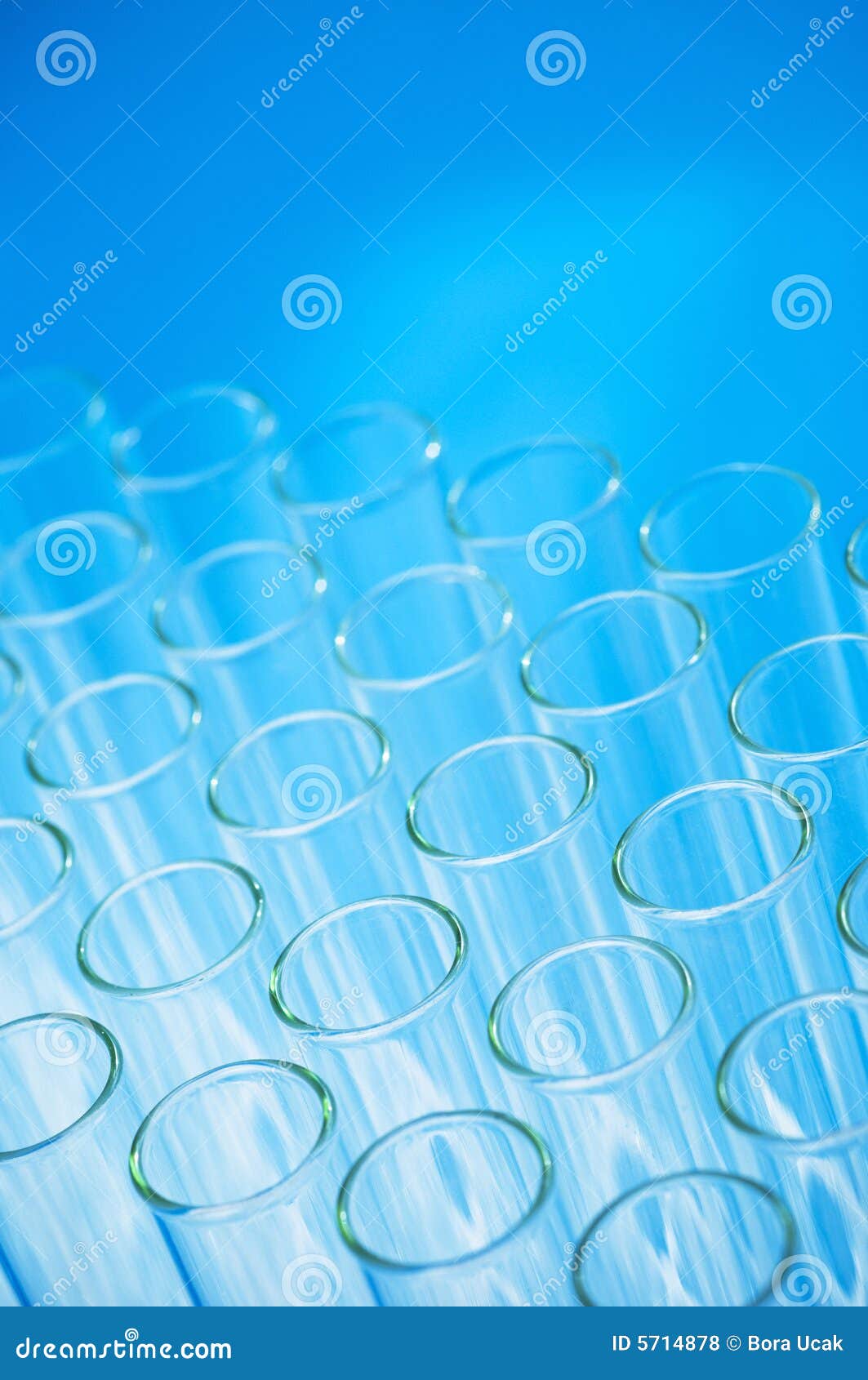 Test Tube stock photo. Image of scientific, biology, tubing - 5714878